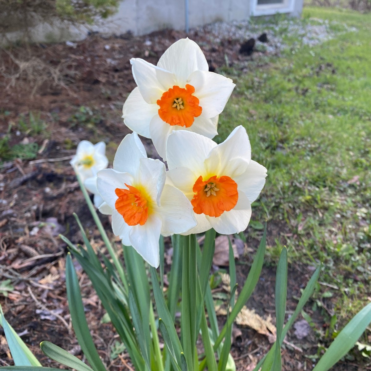 Friday feels – Maddie Rae